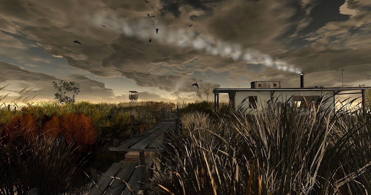 Echt Virtuell: Ein paar Fotos von Fall Trace (Herbst 2017)