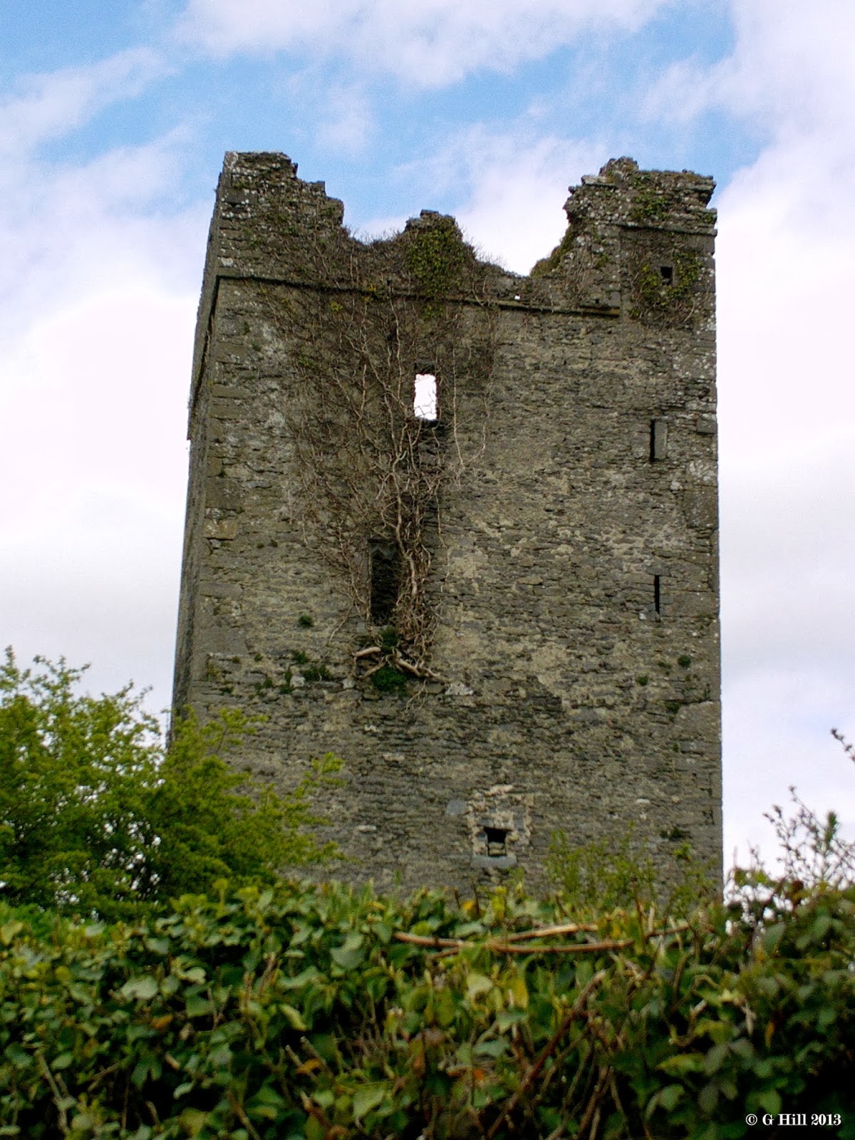 Ireland In Ruins: Newtown Castle & Church Co Kilkenny