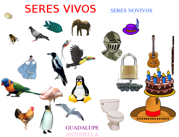 Salas informatizadas: SERES VIVOS y NO VIVOS - sala 5