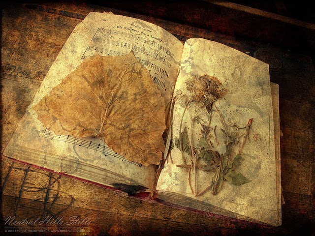 Merry's Twisted Fairies: Lady Cottington's Pressed Fairy Book