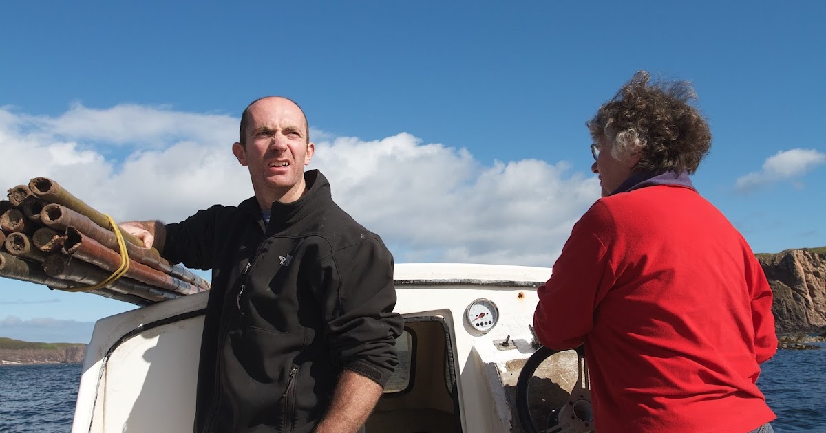 Charlie Sargent's bird ringing: Eilean Nan Ron