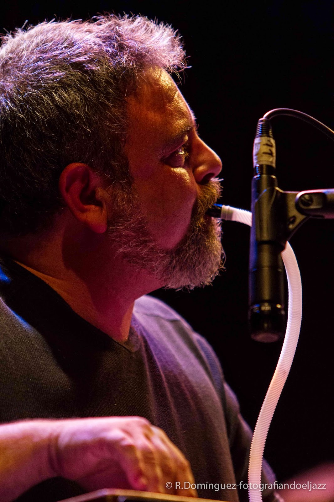 David Mengual Free Spirits Big Band | Fotografiando el Jazz