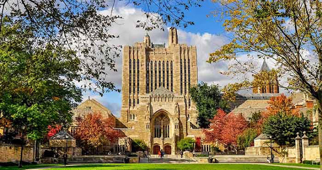 Top 10 Richest Universities in the World - TenBuzzfeed