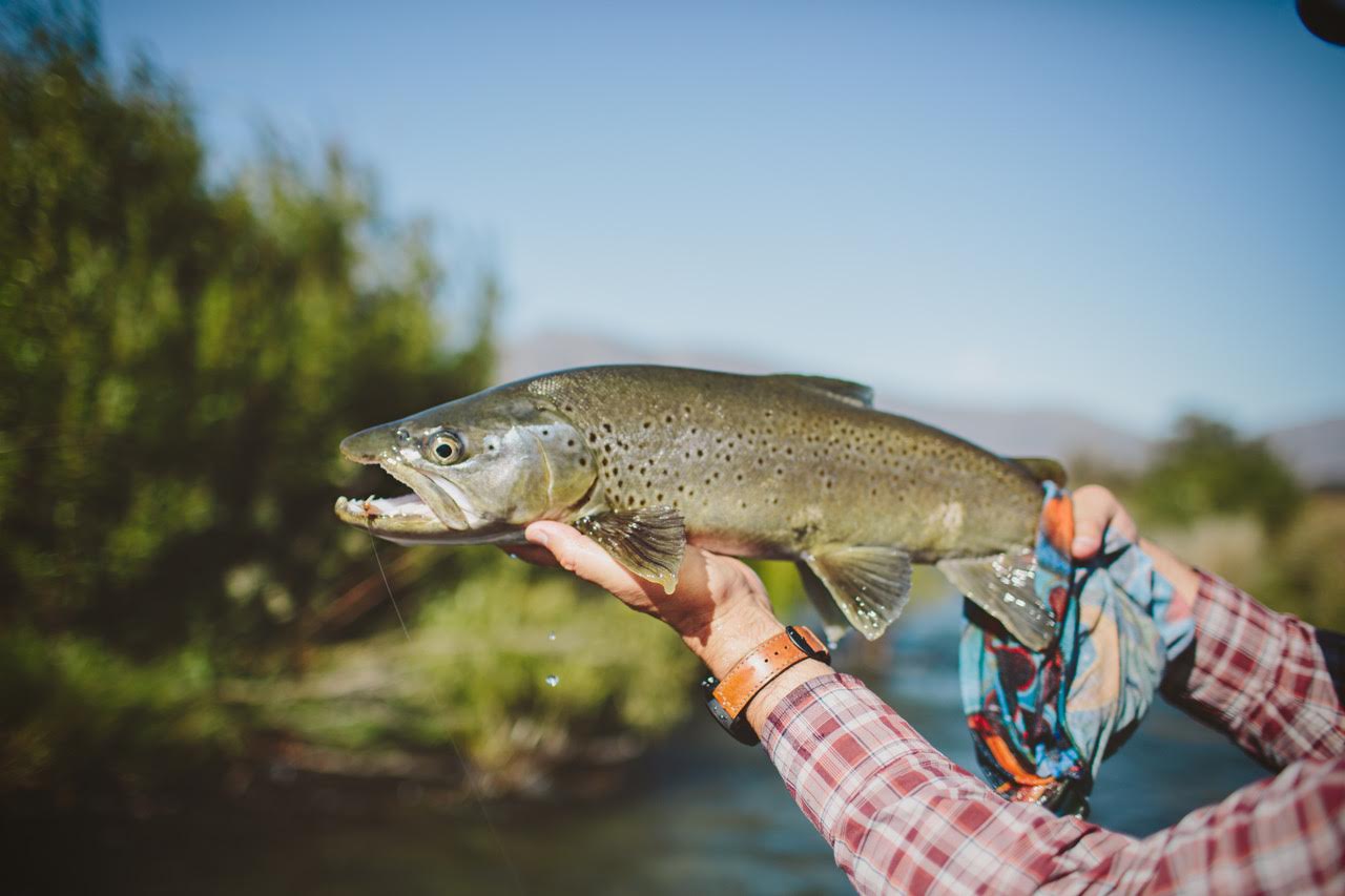 The Fiberglass Manifesto: SWIFT FLY FISHING EPIC 580 - The Five Weight ...