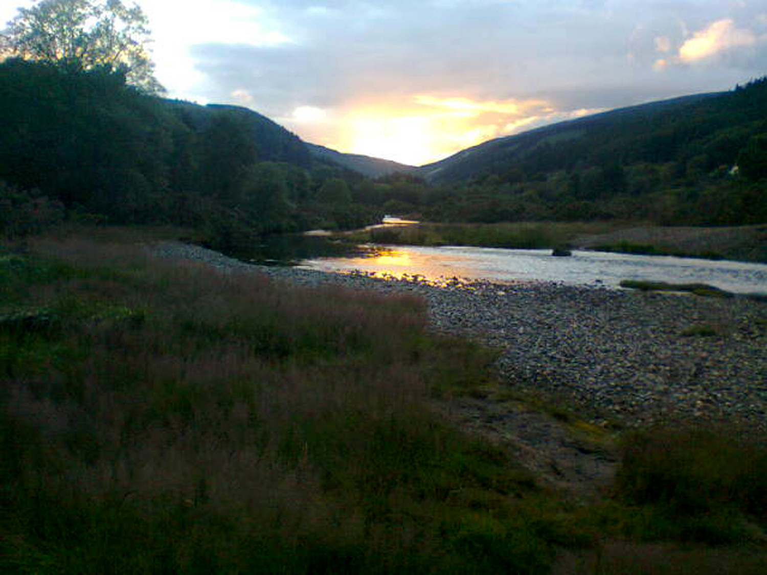 Patch Birding Ireland: Annamoe