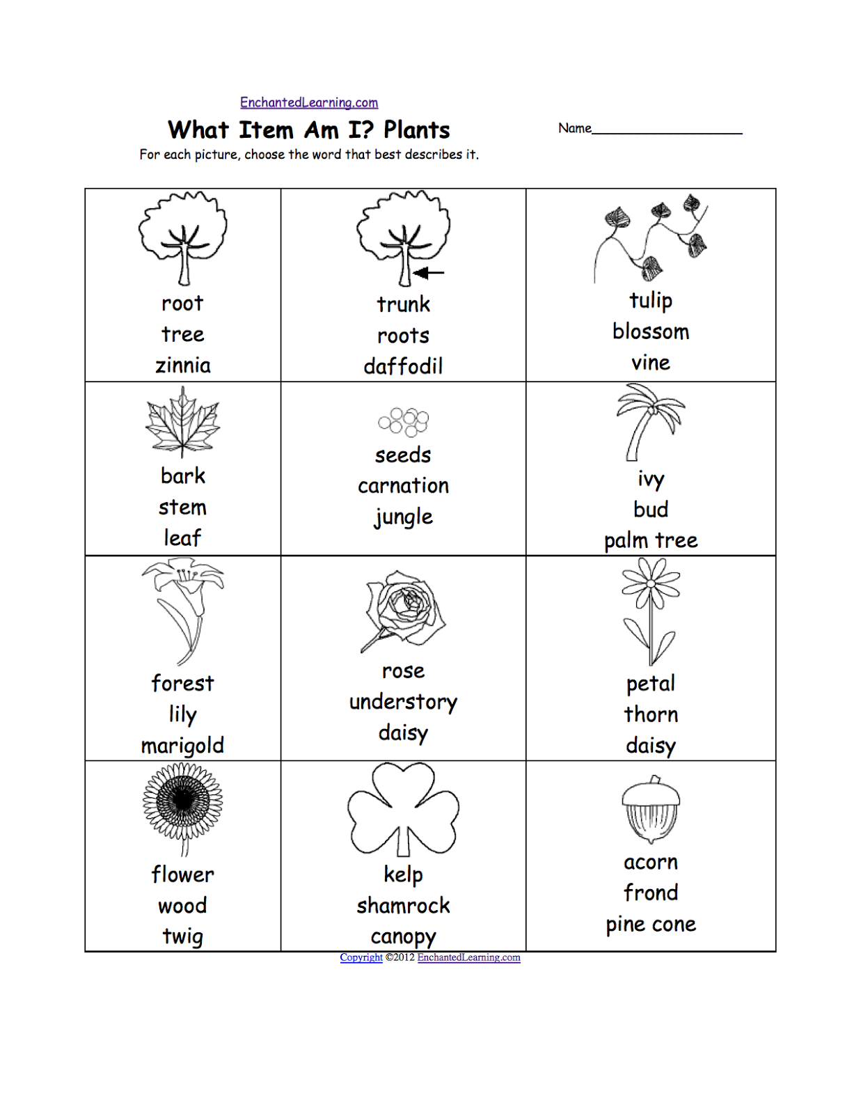 SOCIAL AND NATURAL SCIENCES FOR SECOND GRADE 2016 17 PLANTS WORKSHEETS social-and-natural-sciences-for-second-grade-2016-17-plants-worksheets