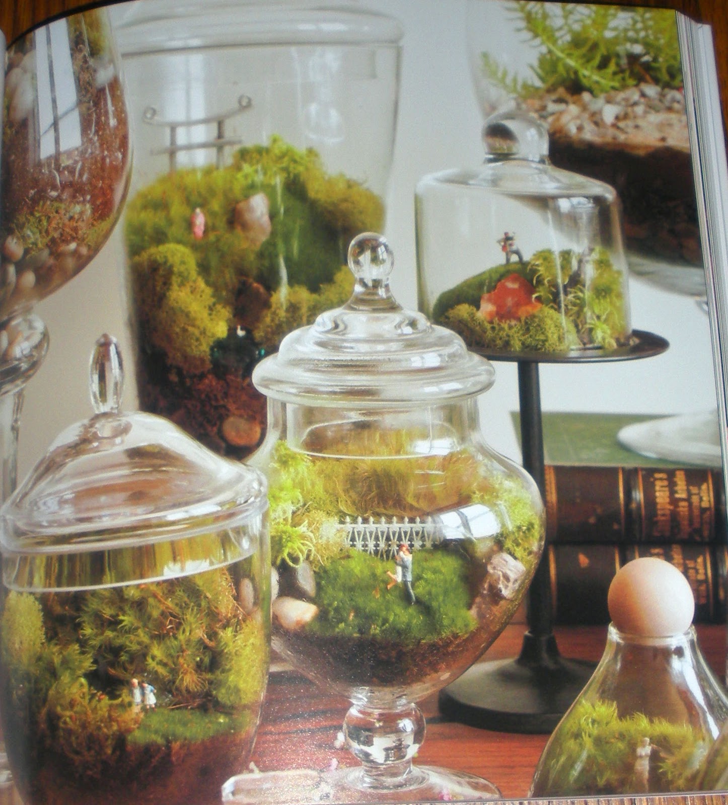 Domythic Bliss: Tiny World Terrariums