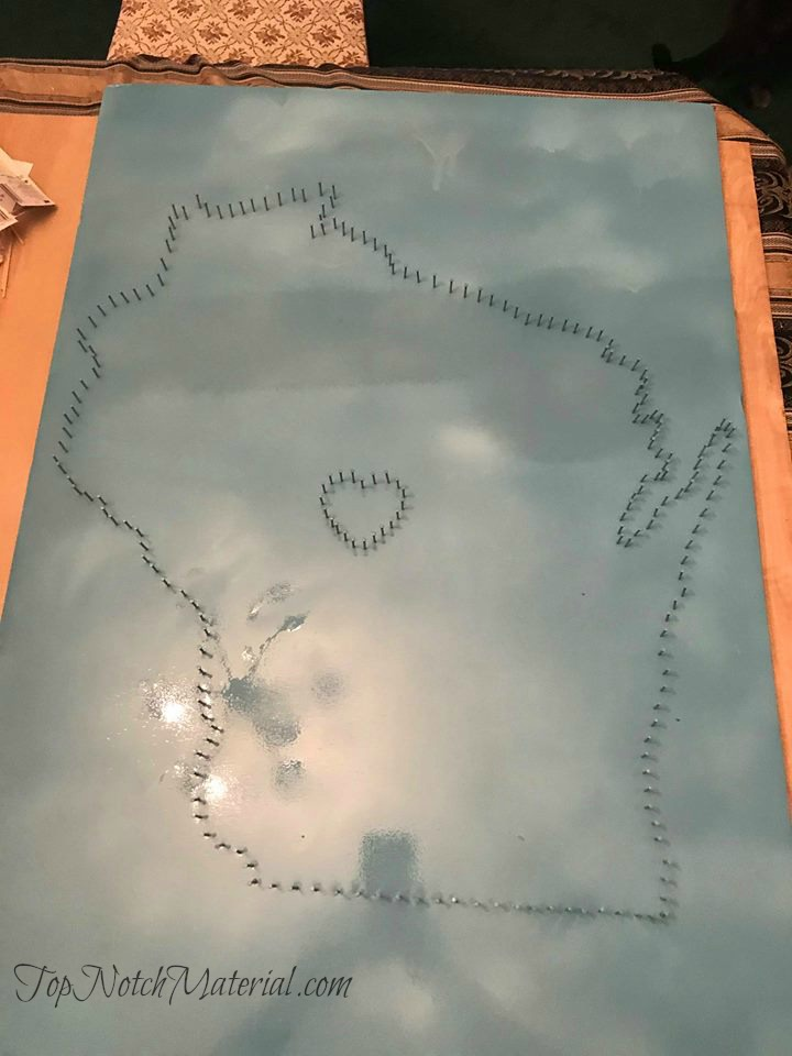 Top Notch Material: DIY State String Art