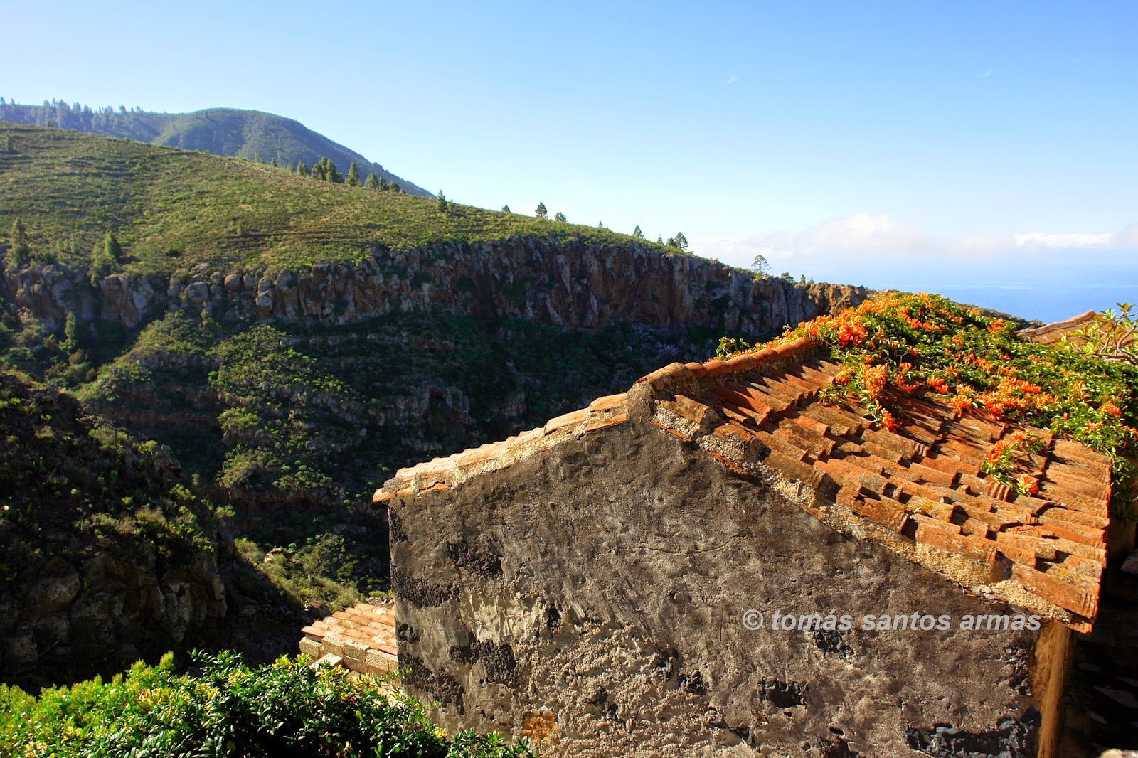 Tenerife senderos......: febrero 2015