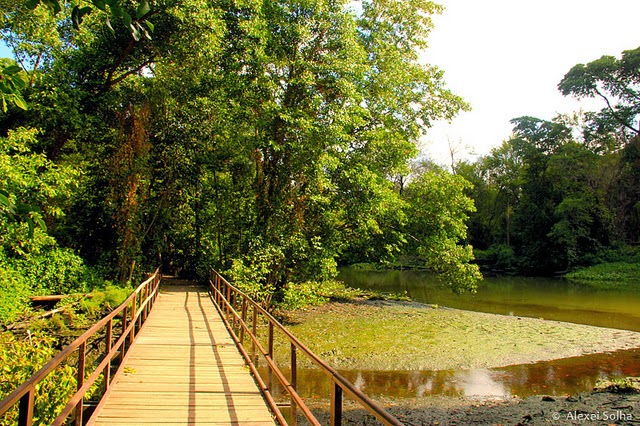 Parque Ecológico do Rio Cocó - Fortaleza, Ceará.