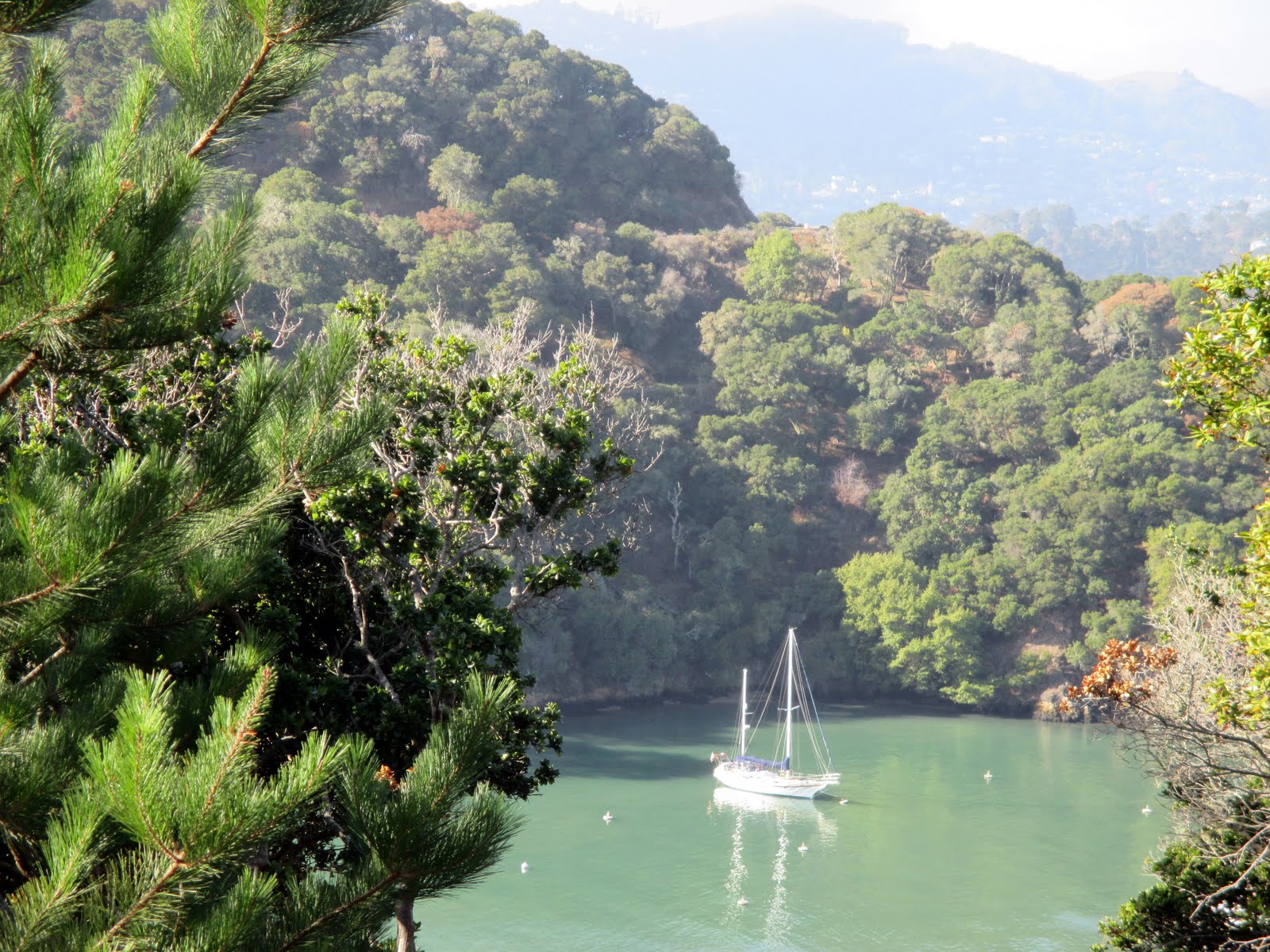 Journeys: Angel Island State Park and Golden Gate National Recreation ...