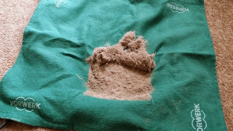 REVIEW: Vorwerk Kobold VK150 Upright Vacuum Cleaner | The Test Pit