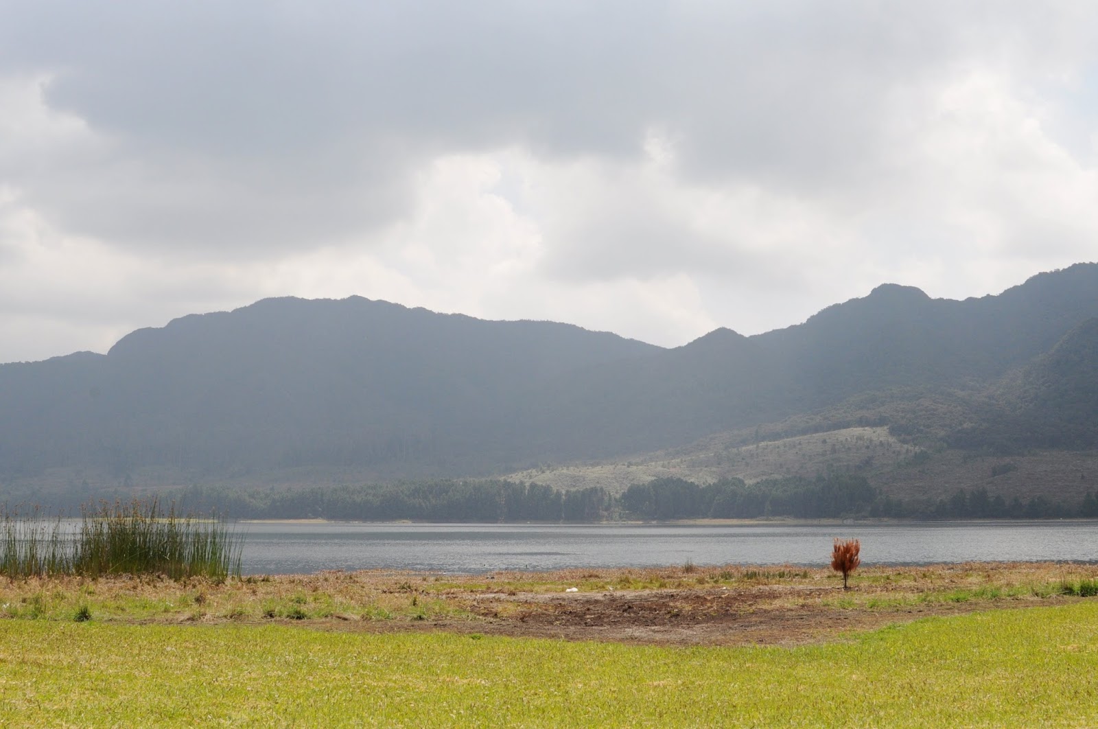 Amaneciendo en el Neusa | Una antología de aventuras