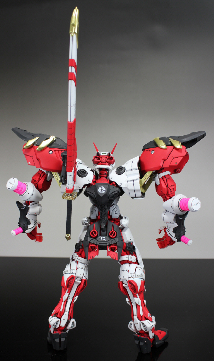 TORI the Modeller: MBF-P02 ASTRAY RED FRAME POWERED RED w/150M GABERA