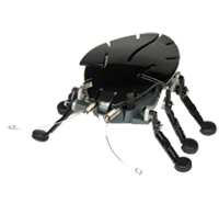 Los Robots: Zoomorficos