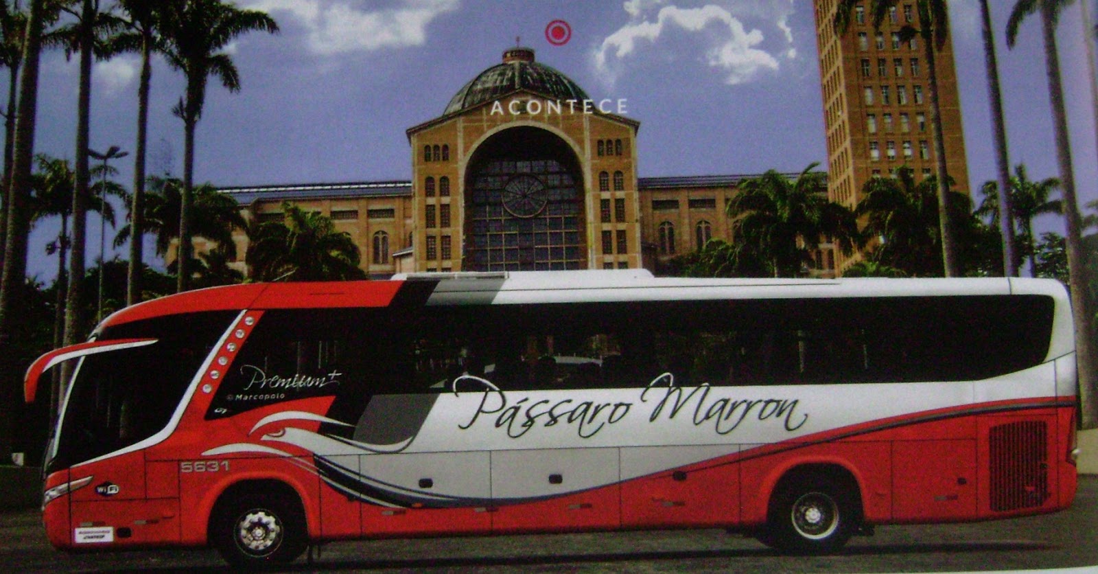 Litoralbus: Passaro Marron 5631