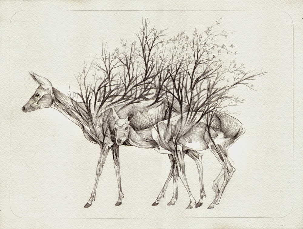 Ness: ARtist Research: Nunzio PAci