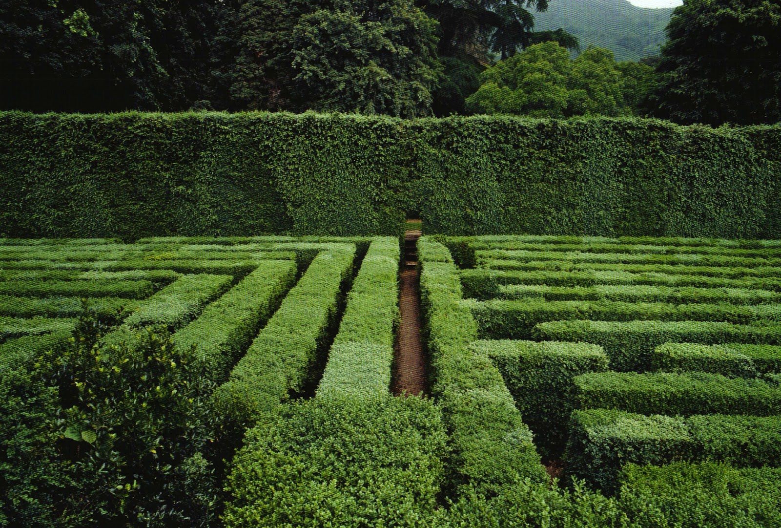 Là-bas quelque part: Giardini nobiliari. Labirinto della villa ...