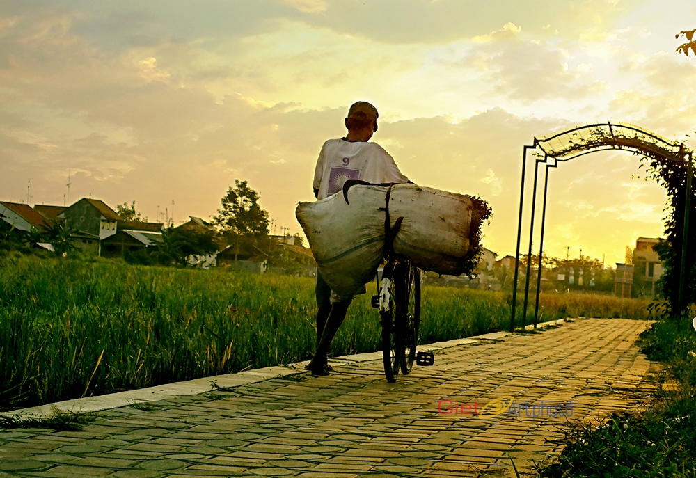 Pasar Senggol Pekalongan