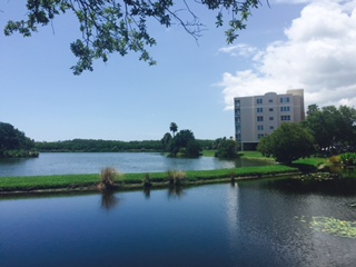 Retirement living in St Petersburg: PALMS, VILLAS, AND CONDOMINIUMS OF ...