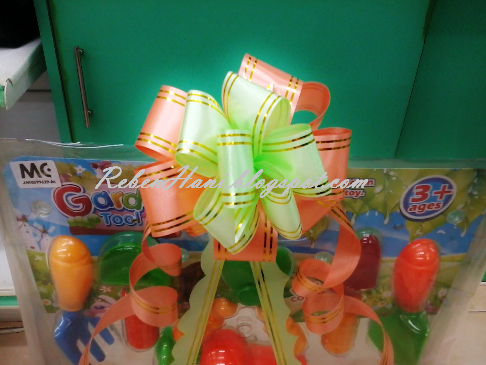 RebenHani: Reben Hijau & oren