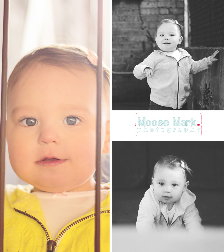 Moose Mark Photography