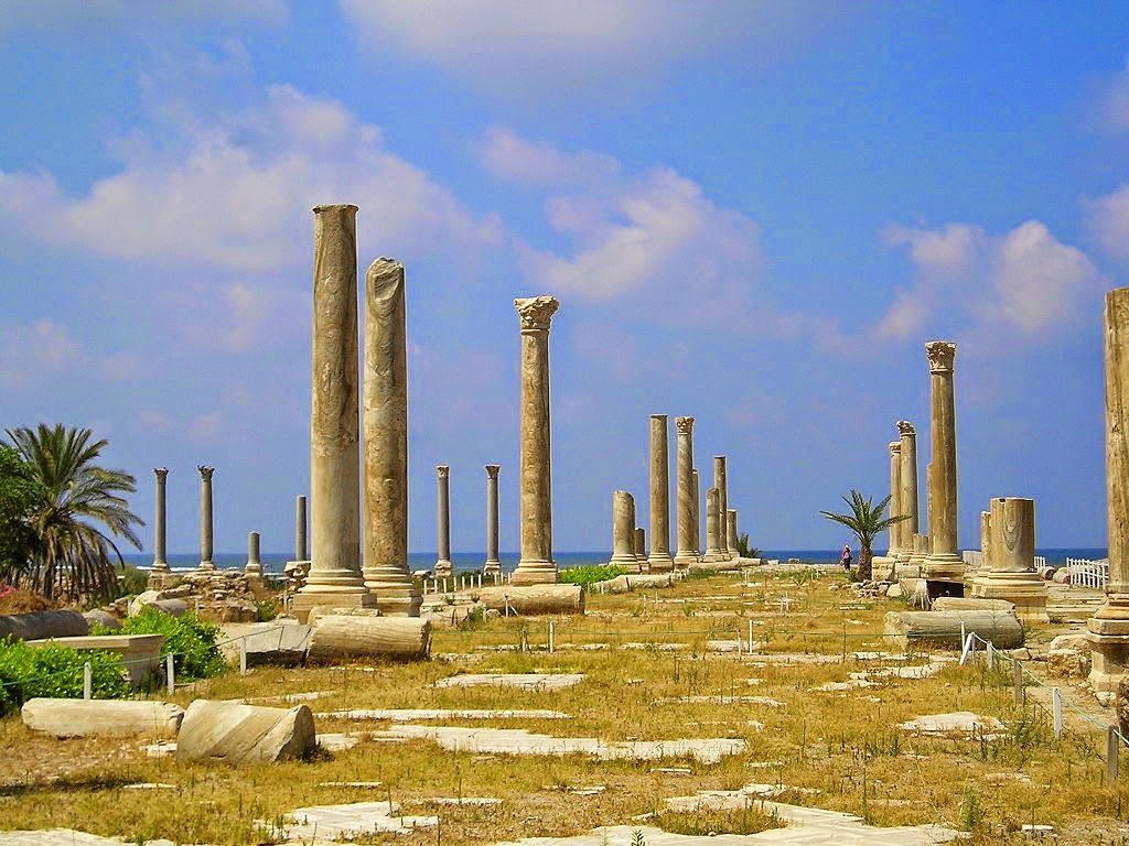 The Ascent and Demise of Carthage Module 1