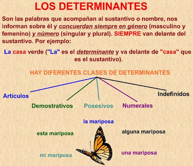 ¡Explorando la Lengua!: Los determinantes