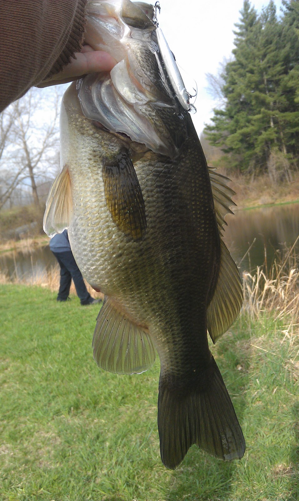 Extreme Philly Fishing: Reports (Rob Z.): Fishing in Scranton, PA (2013!)