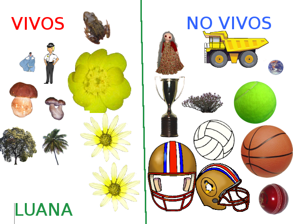 Salas informatizadas: SERES VIVOS y NO VIVOS - sala 5