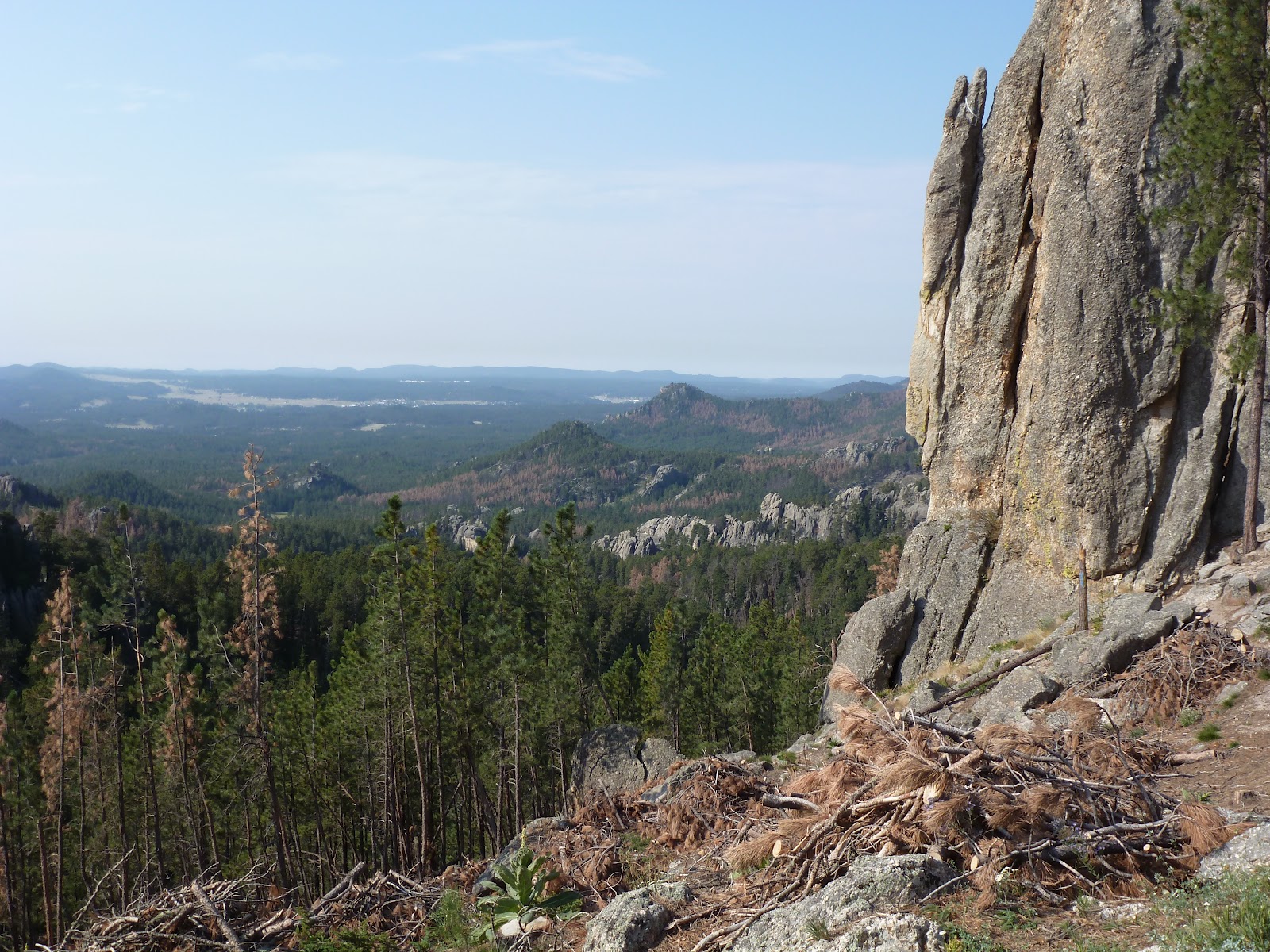 TREKING WITH CAROLYN & JIM: Day 8 - Custer State Park to Wyoming