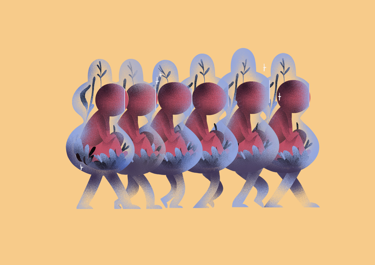 Diedrica: HOMUNCULUS