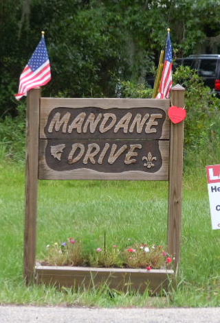 Family History: Truths, Lore and Mysteries: Family Trees, Blood Trees ...