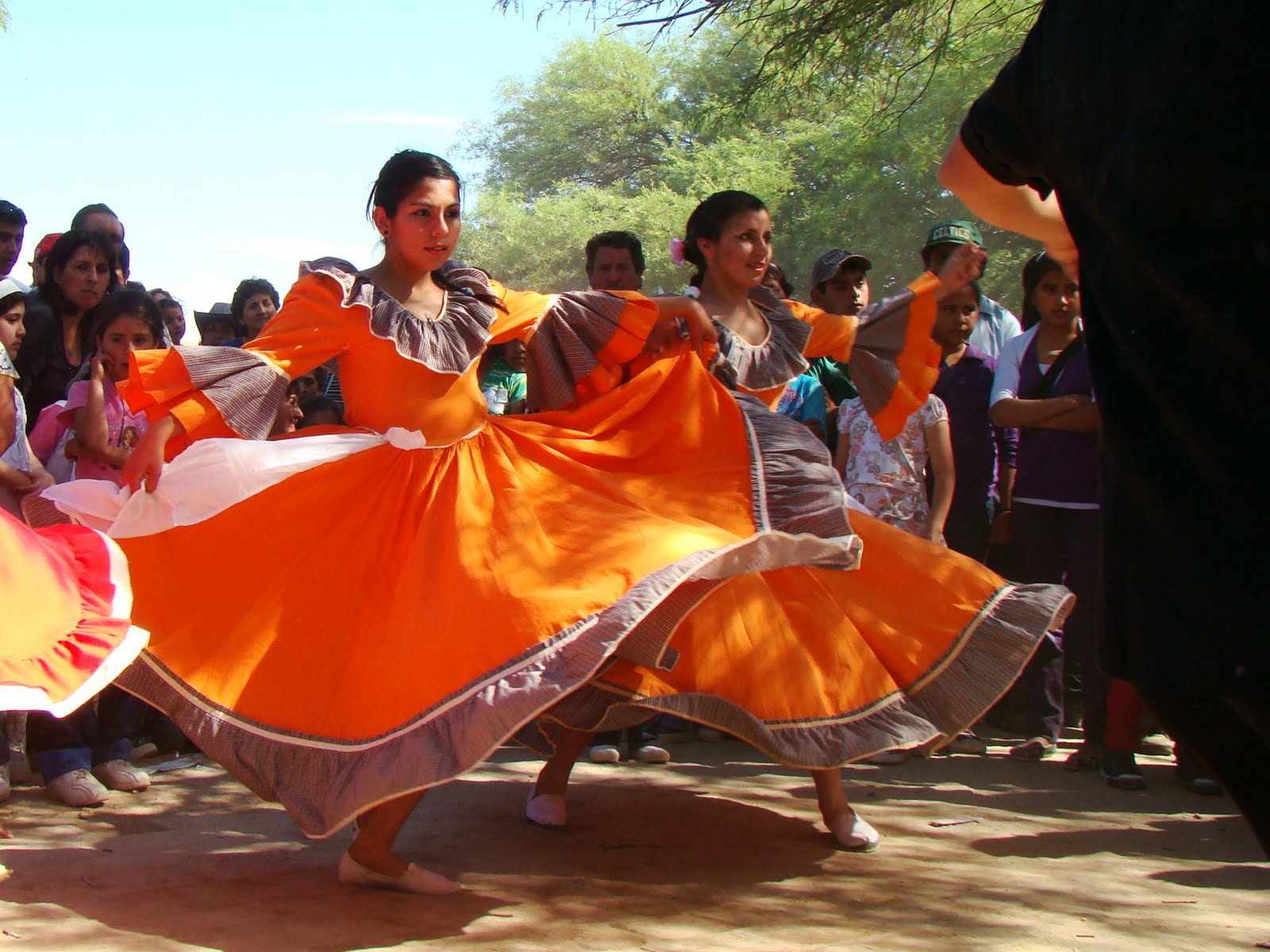 Proyecto Whipala completo pero no finalizado