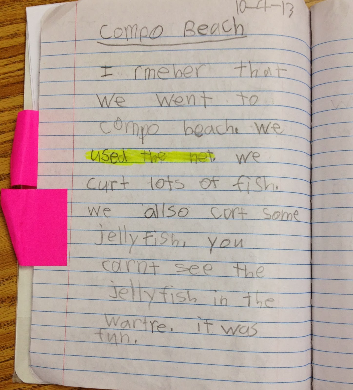 Writing Workshop in 2nd grade: Cycle 3- Writer's Notebook