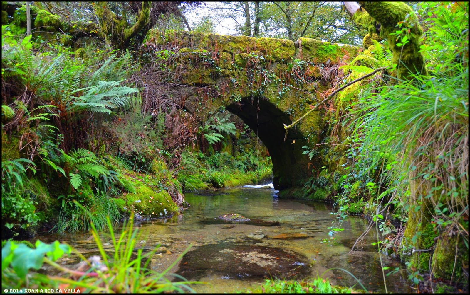 XOAN ARCO DA VELLA: PONTE VELLA - A MOA - A LAMA