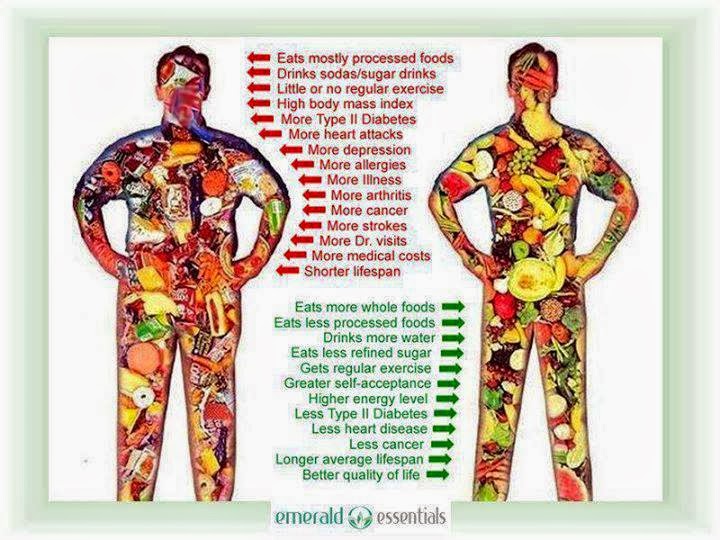 Vida Pura - Zen: Somos o que comemos