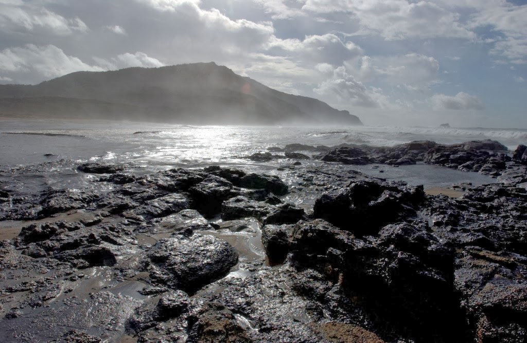 todas las cosas: Hasta pronto, chapapote.