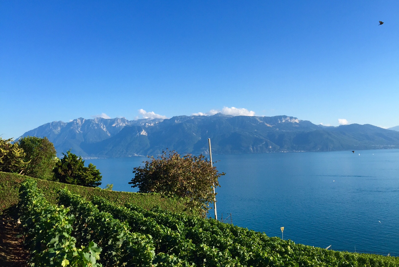 Lavaux Vineyard Terraces: A UNESCO World Heritage Site in Switzerland