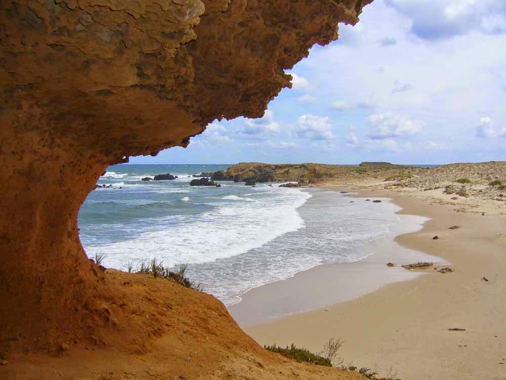 Cap Angela ... Un coin de nature atypique ~ Tunisie Tourisme, Guide du ...