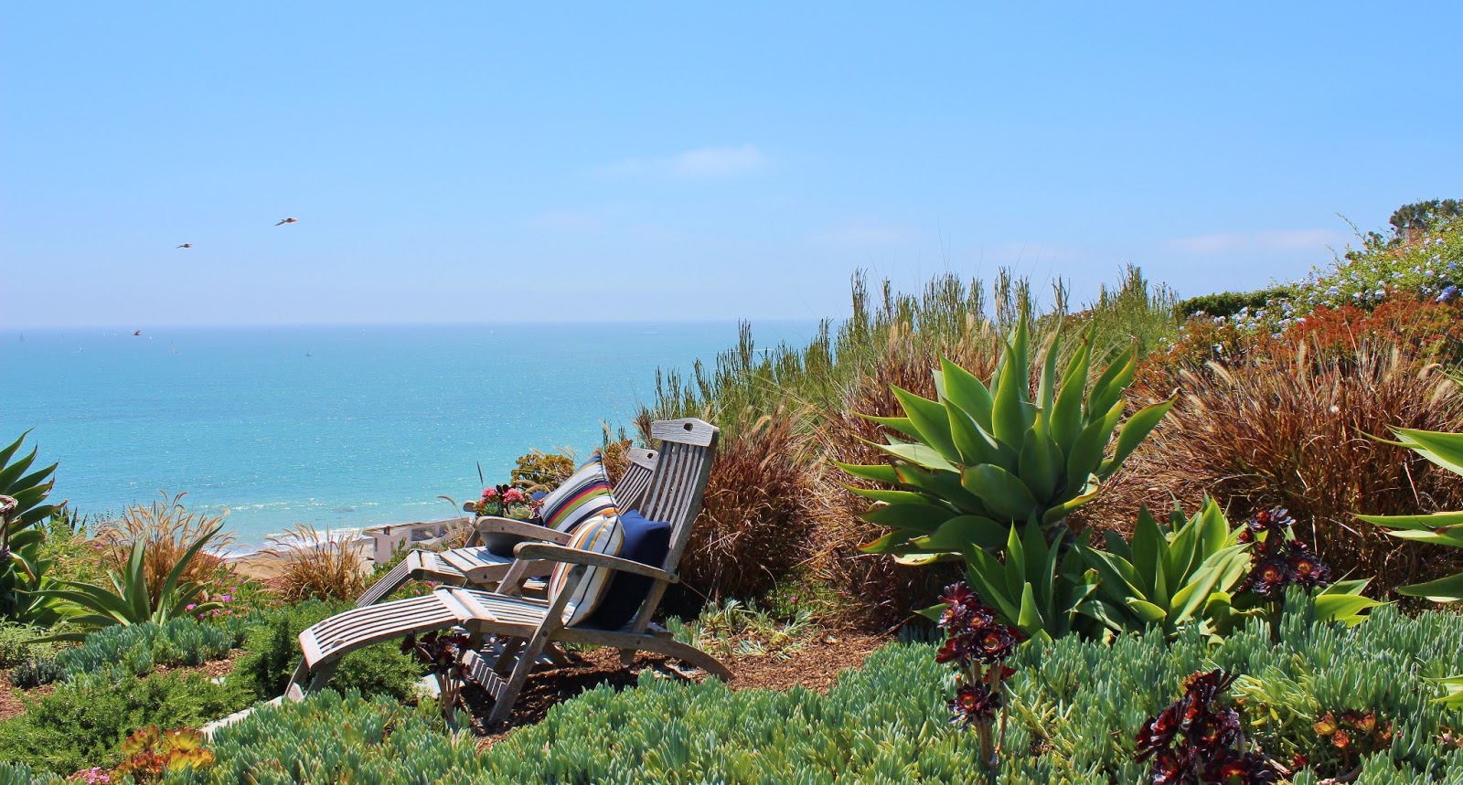 A Very Good Life: Rose Society of Saddleback Valley Elegant and ...
