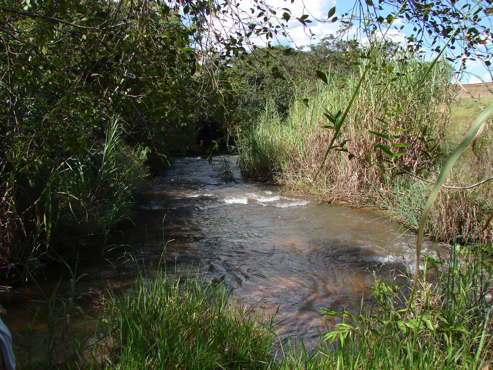 Arteciencia - Sêrgio Sàbará: Novas cachoeiras em Motuca