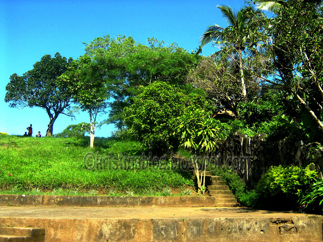 Speckles n Spectrum: Consocep Mountain Resort/Falls