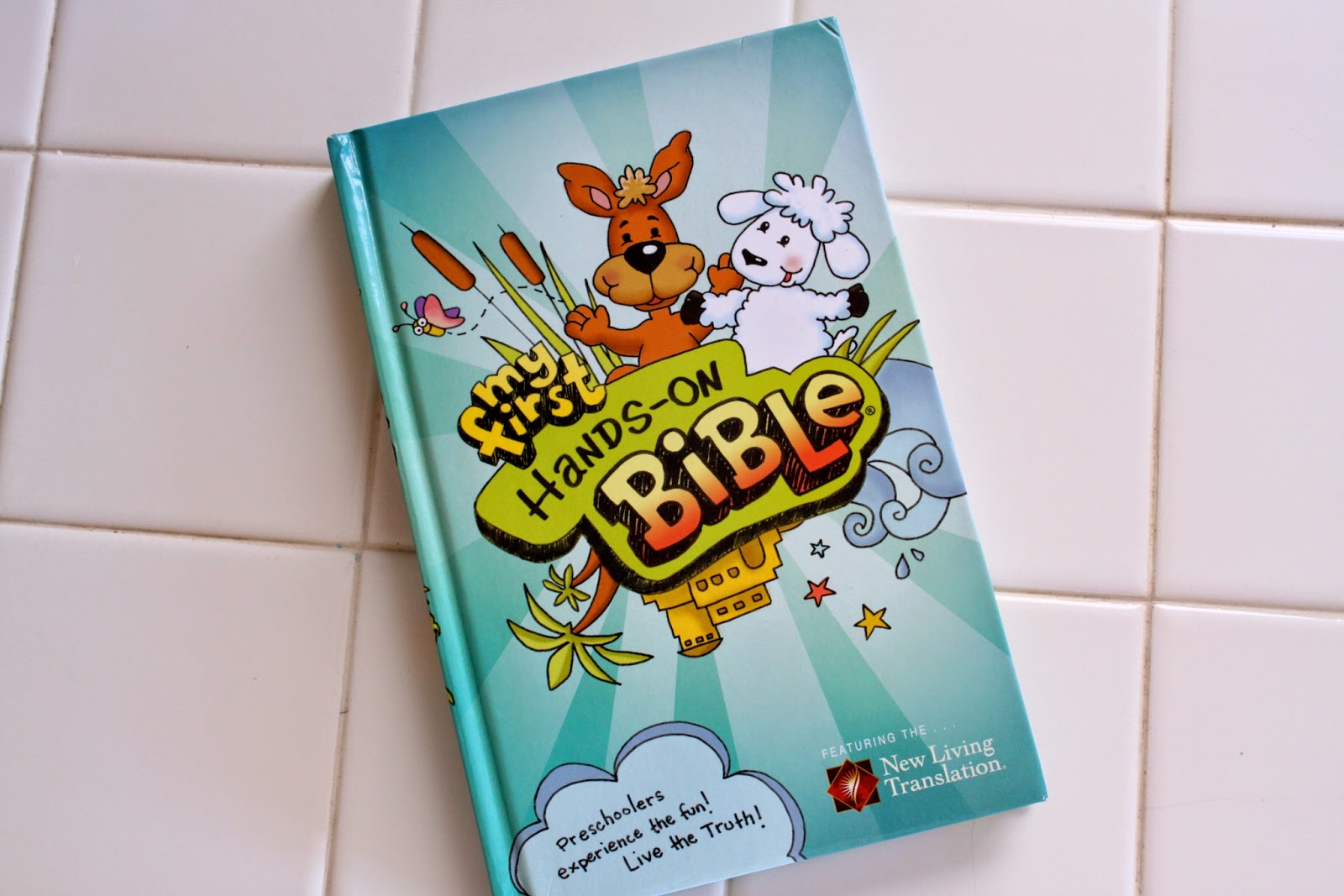 Preschool with Bo {Curriculum and Plans} — Delightful Learning