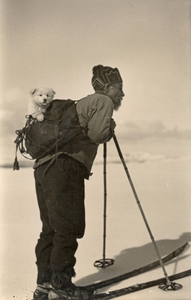 54 Lovely Vintage Snapshots Captured People With Their Puppies ...