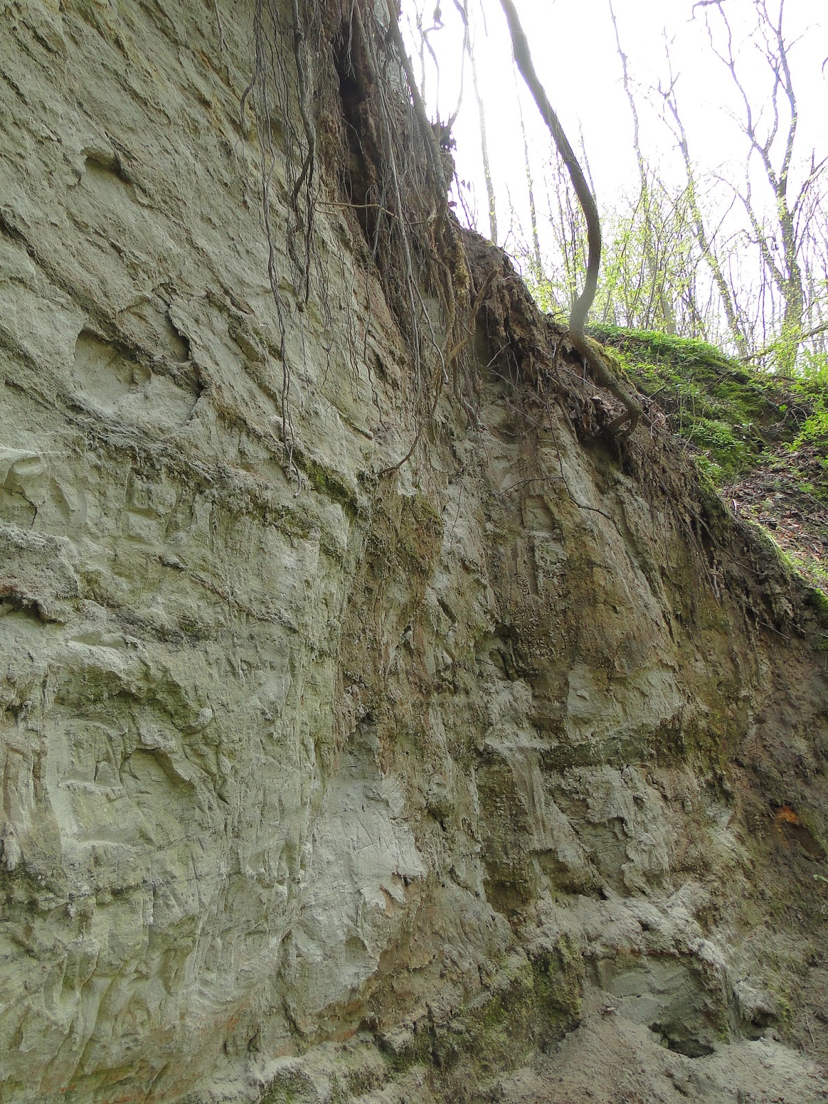 Tīreļu līdzenums fotogrāfijās: Gavēņu strauts un smilšakmens atsegums ...