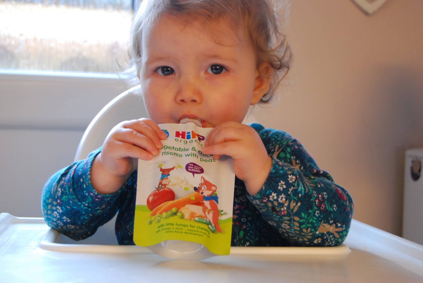 Chic Geek Diary: Introducing the HiPP Buddies & the HiPP Organic's ...