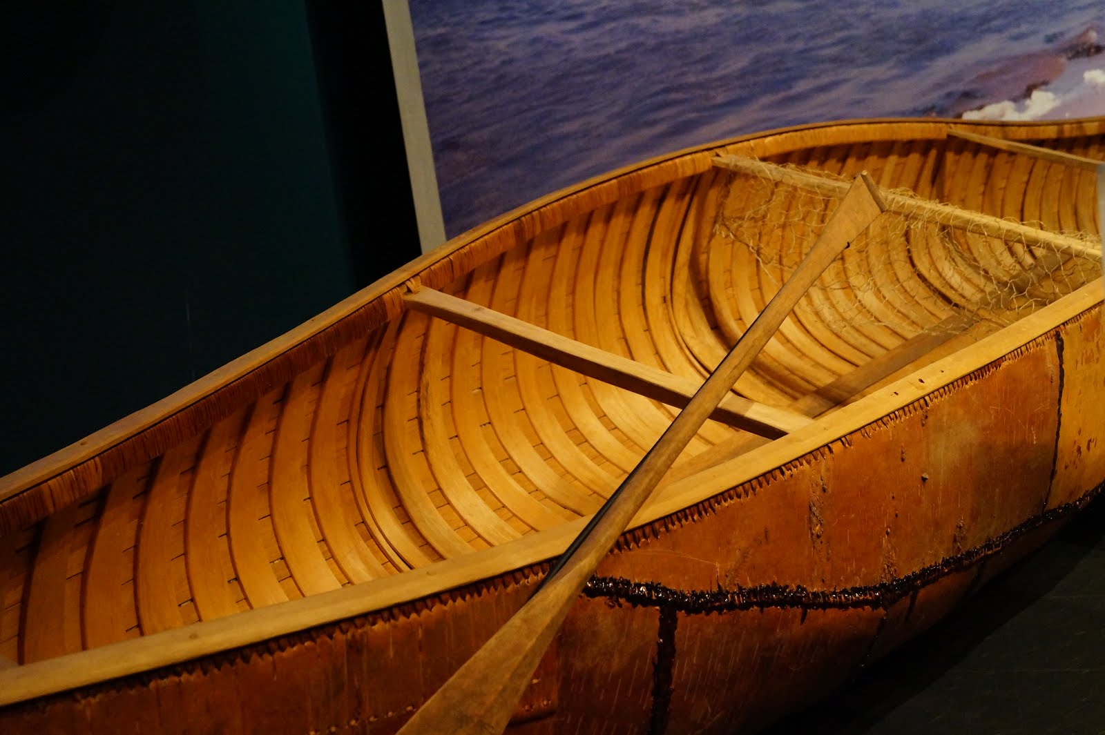 les poissons des arbres: Canot indien en écorce