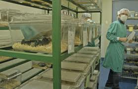 Donde estudiar: Qué es un bioterio