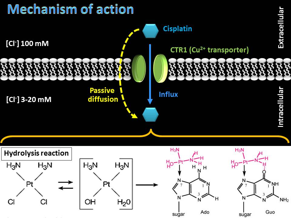 iPharmD จะหาเรื่องดีๆ มาแบ่งให้ได้อ่านกันทุกคน ^__^: มาทวนเรื่อง ...